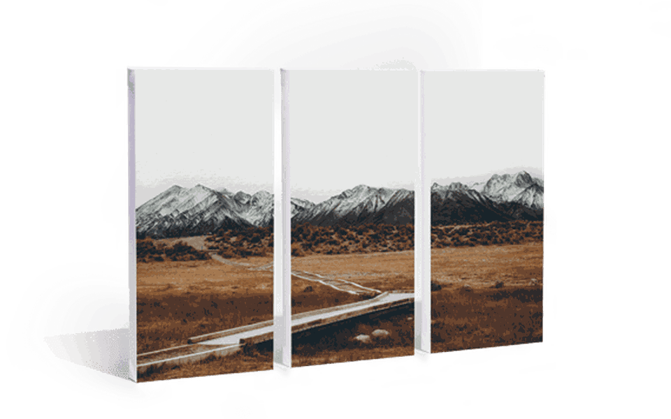 Triptych canvas & framed prints | Canvaspop