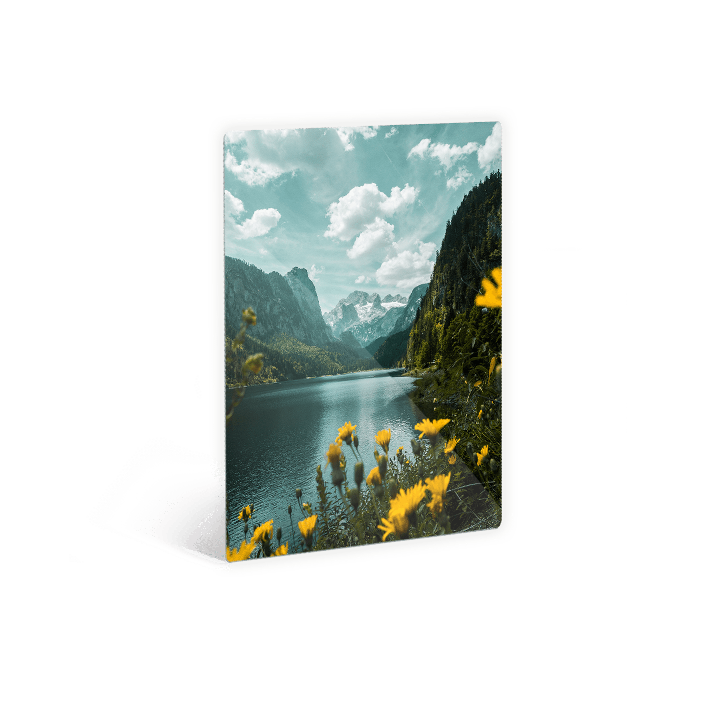 Portrait Vs Landscape Orientation Photos When To Use Each Canvaspop